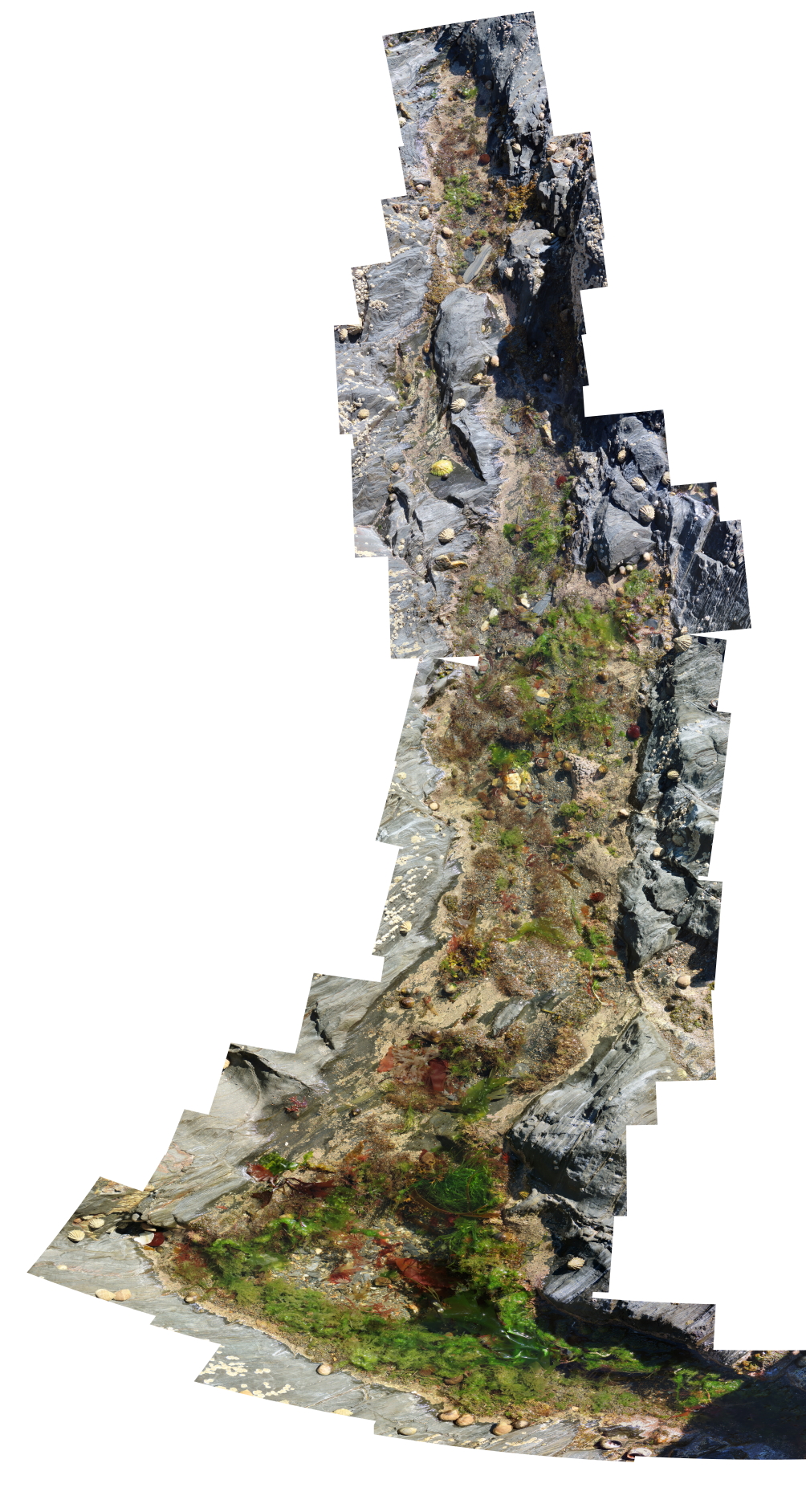 Rockpool gallery – Jon James